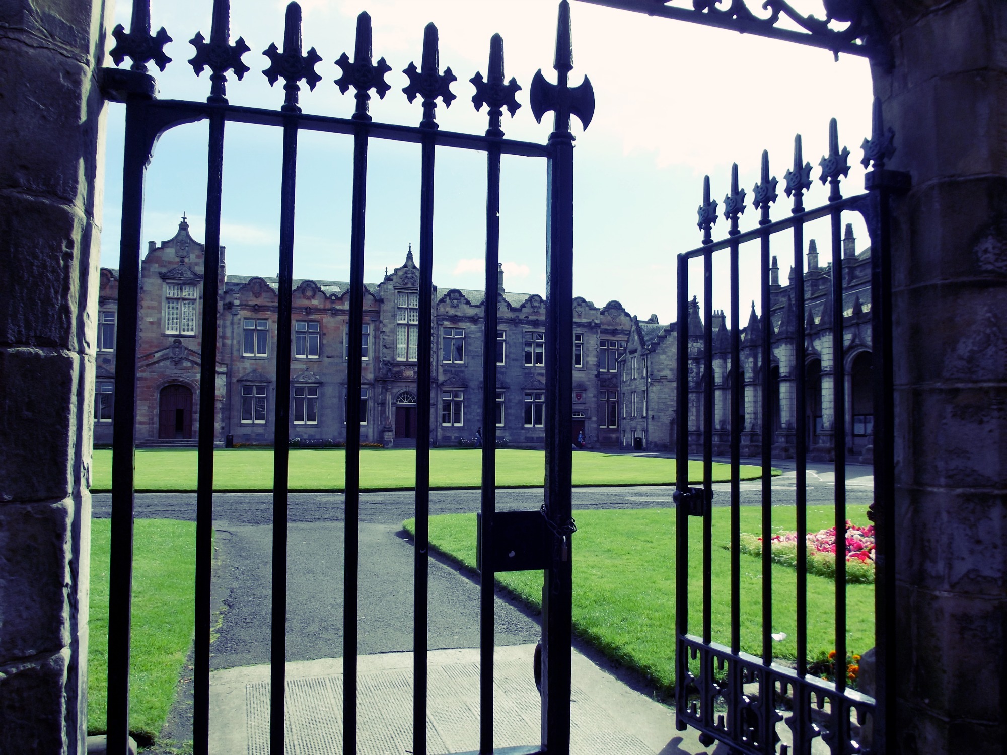 St Andrews' Bucket List: 21 Must-Dos - Adventitious Violet