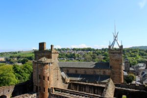 3 Day Trips from Edinburgh - Adventitious Violet